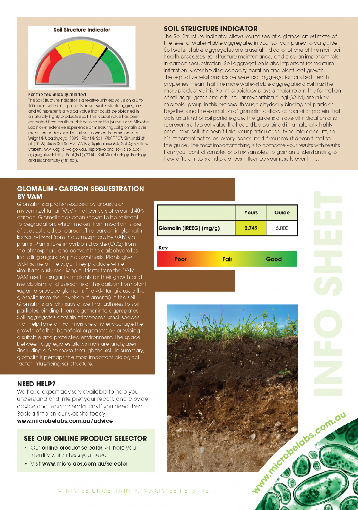 Structure Wise - Microbiology Laboratories Australia