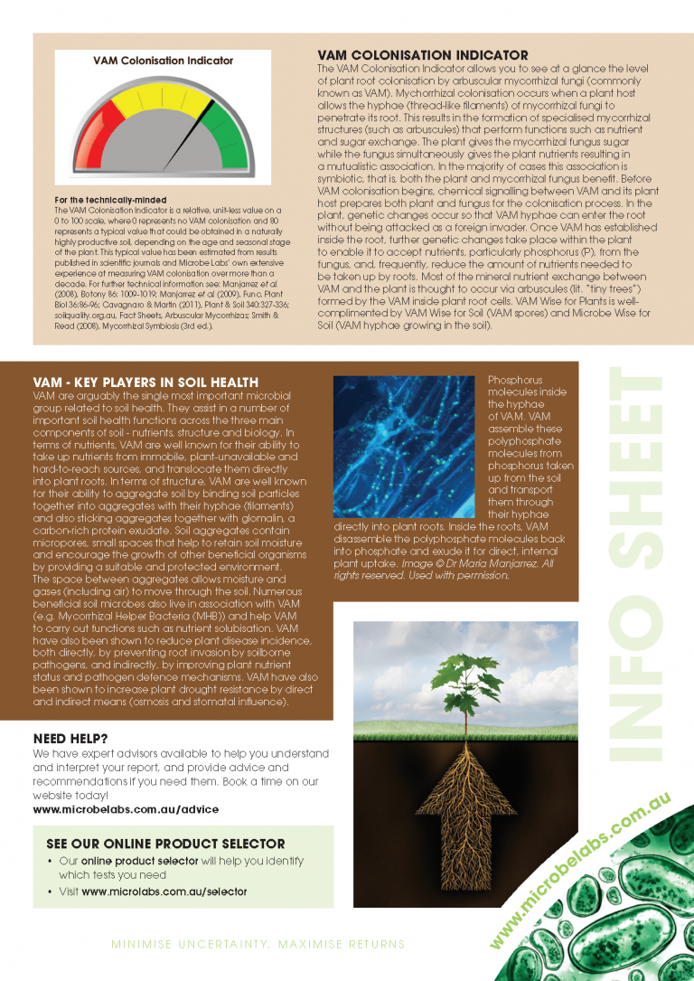 VAM Wise for Plants (Perennials) - Microbiology Laboratories Australia